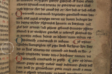 Book of Aneirin « Facsimile edition