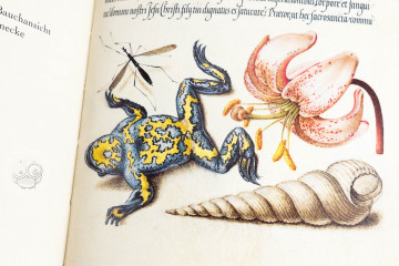 Model Book of Calligraphy « Facsimile edition