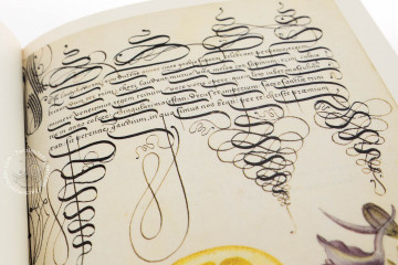 Model Book of Calligraphy « Facsimile edition