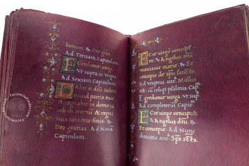 Hours of Cardinal Carafa « Facsimile edition