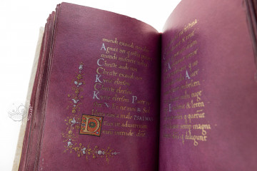 Hours of Cardinal Carafa « Facsimile edition