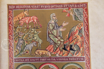 Codex of Vyšehrad « Facsimile edition