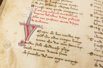 Divine Comedy - Trivulziano 1080 Manuscript « Facsimile edition