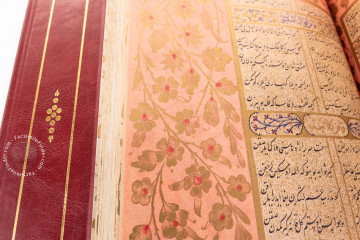 Muhibbî Dîvânı « Facsimile edition