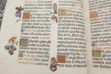 Breviary of the Countess Bertiandos « Facsimile edition