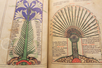 Liber Floridus « Facsimile edition