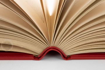 Ulugh Beg's Book of the Constellations « Facsimile edition