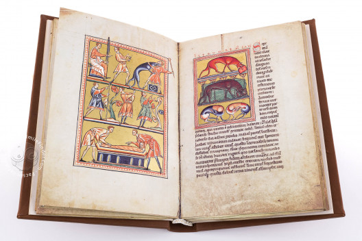 Browse all Romanesque Manuscript Facsimile Editions