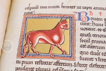 Ashmole Bestiary « Facsimile edition