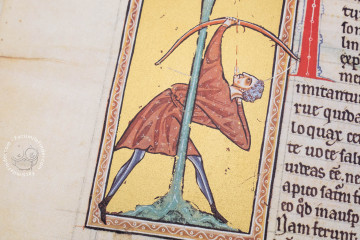 Ashmole Bestiary « Facsimile edition