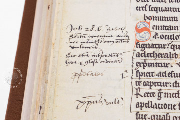 Ashmole Bestiary « Facsimile edition