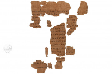 New Testament Papyrus Fragments (Collection) « Facsimile edition