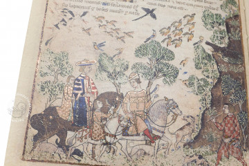 Cocharelli Codex « Facsimile edition