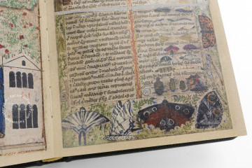 Cocharelli Codex « Facsimile edition