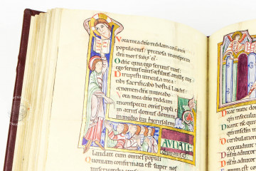 St. Alban's Psalter « Facsimile edition