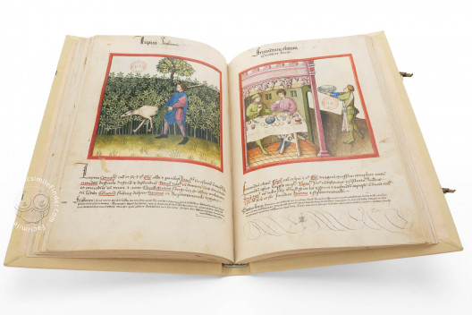 Browse all Medicine / Science Facsimiles