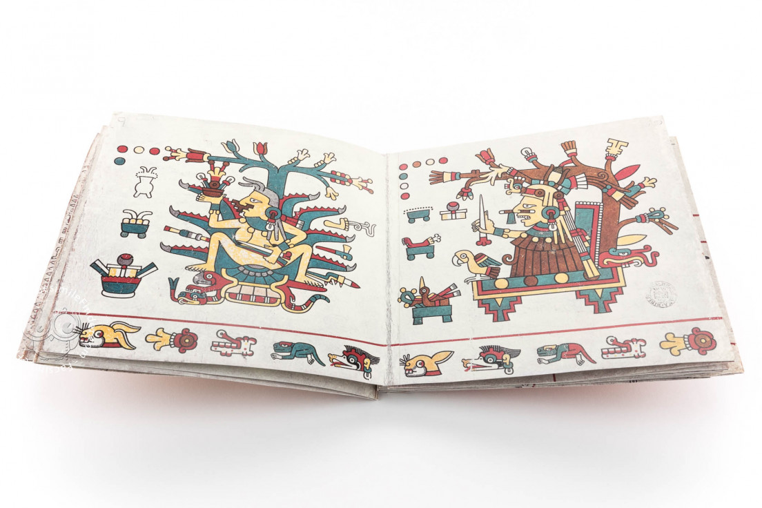 Codex Laud « Facsimile edition