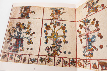 Codex Vaticanus B (3773) « Facsimile edition