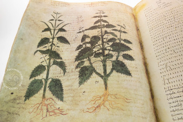 Vienna Dioscorides « Facsimile edition