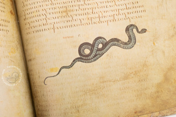 Vienna Dioscorides « Facsimile edition