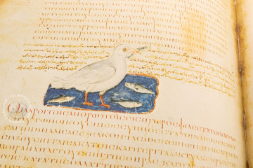 Vienna Dioscorides « Facsimile edition