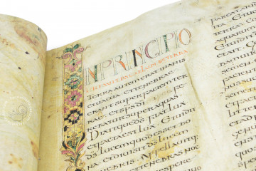 Ashburnham Pentateuch « Facsimile edition