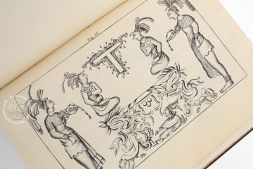 Palenque Drawings « Facsimile edition