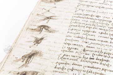 Codex Hammer « Facsimile edition