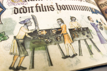 Luttrell Psalter « Facsimile edition