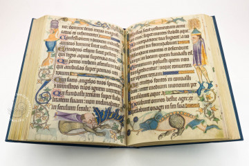 Luttrell Psalter « Facsimile edition