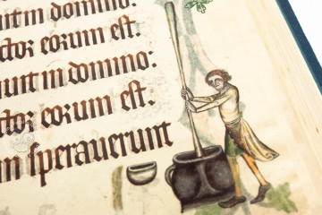 Luttrell Psalter « Facsimile edition