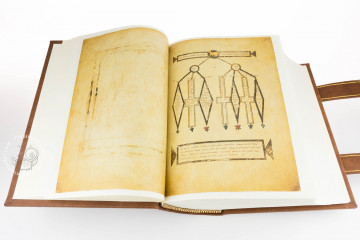 Codex Amiatinus « Facsimile edition