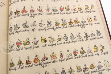 Florentine Codex « Facsimile edition