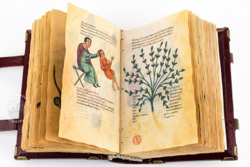 Medical Miscellany « Facsimile edition