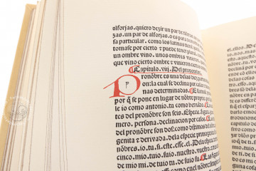 Gramática Castellana « Facsimile edition
