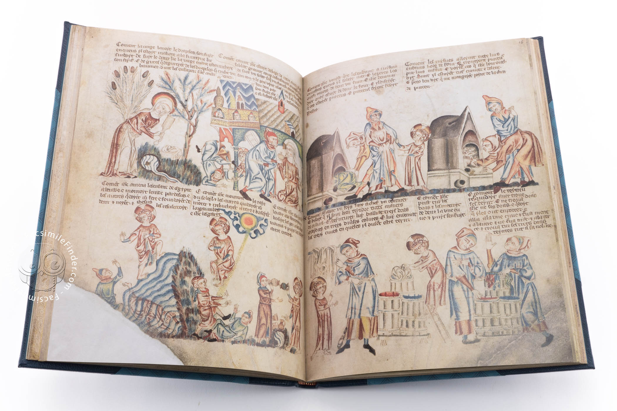 Holkham Bible Picture Book « Facsimile edition